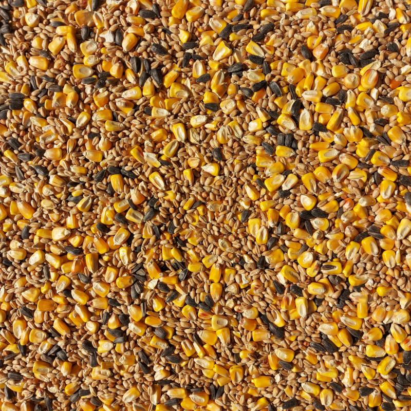 Tyúk mix magkeverék (kimérve/kg) - Magtárház prémium takarmány webáruház