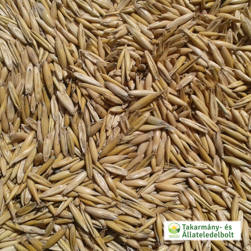 Zab (kimérve/kg) - Magtárház prémium takarmány webáruház